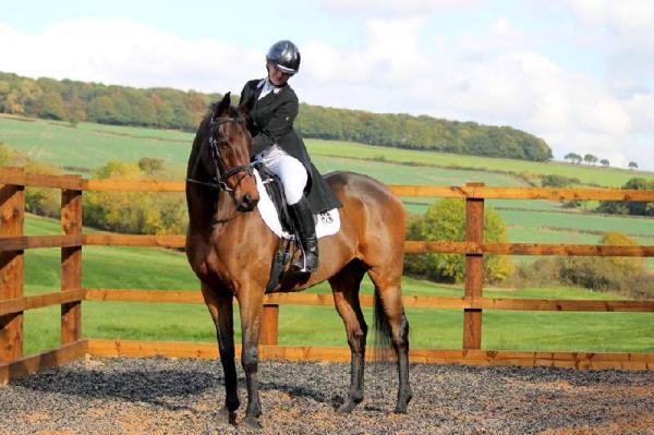 Beautiful full livery yard-Livery Yards & Stables-Derbyshire